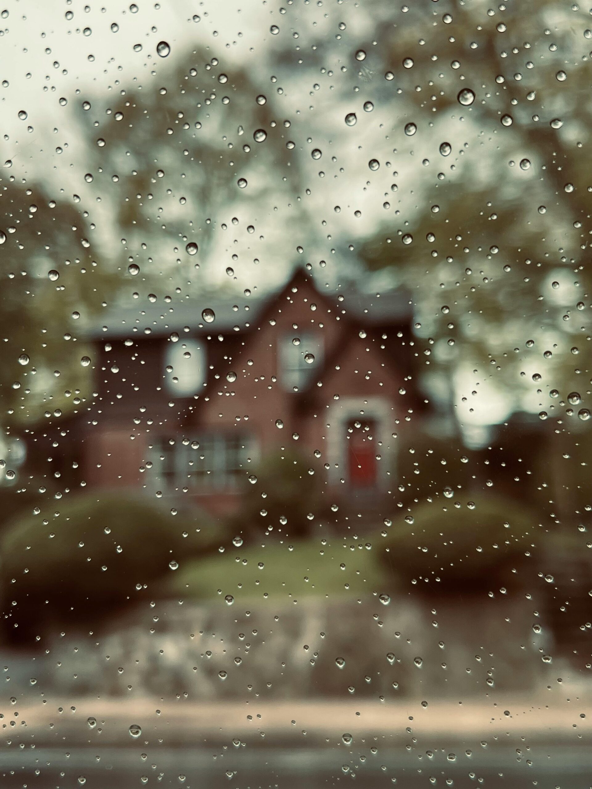 Why Fall Is the Best Time for Attic Insulation Upgrades in the Pacific ...